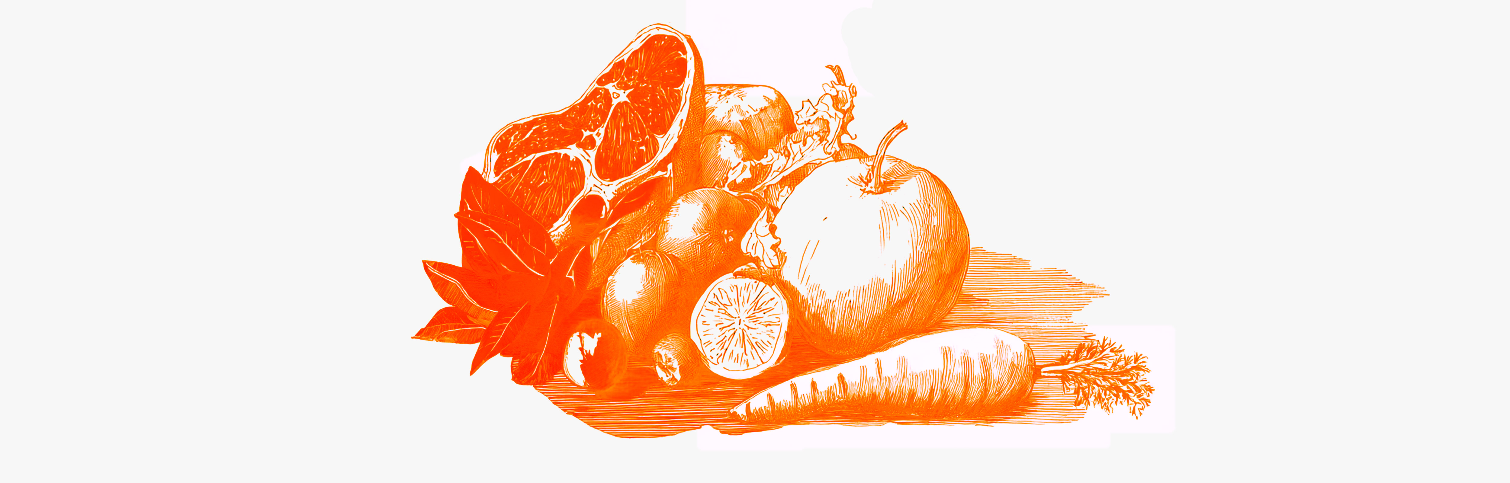 Régime Dukan : Principes, Recettes et Résultats