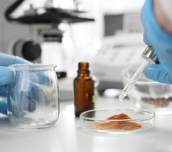 AMPK Booster | Formulé pour réactiver l’AMPK cellulaire